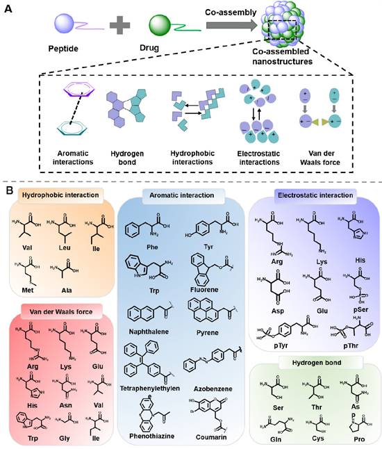 Peptide-drug co-assembling: A potent armament against cancer