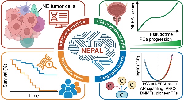 Volume 14, Issue 3 - thno