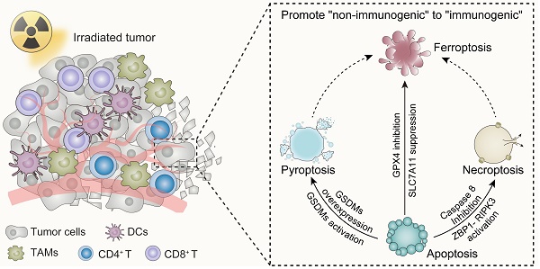 Volume 14, Issue 3 - thno