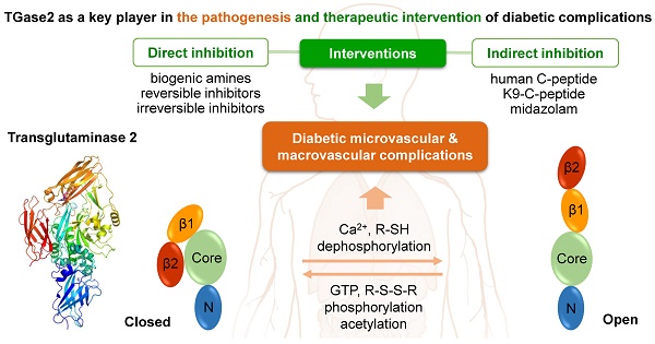Volume 14, Issue 6 - thno