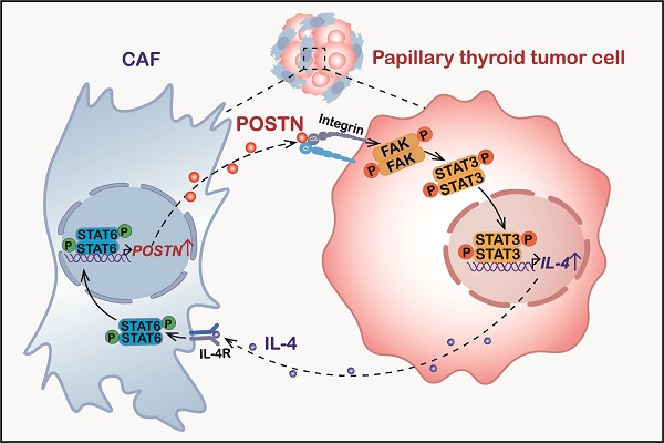 Volume 14, Issue 7 - thno