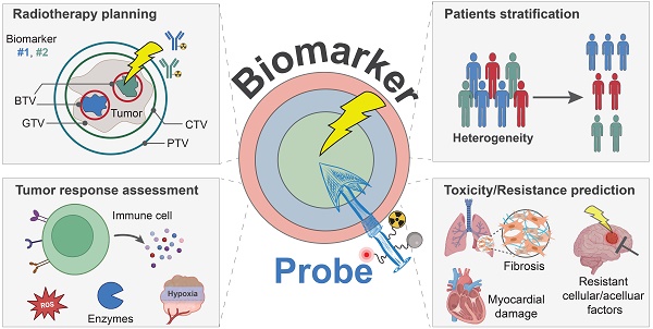 Biomarker-driven molecular imaging probes in radiotherapy