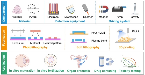 Microfluidic chips in female reproduction: a systematic review of ...